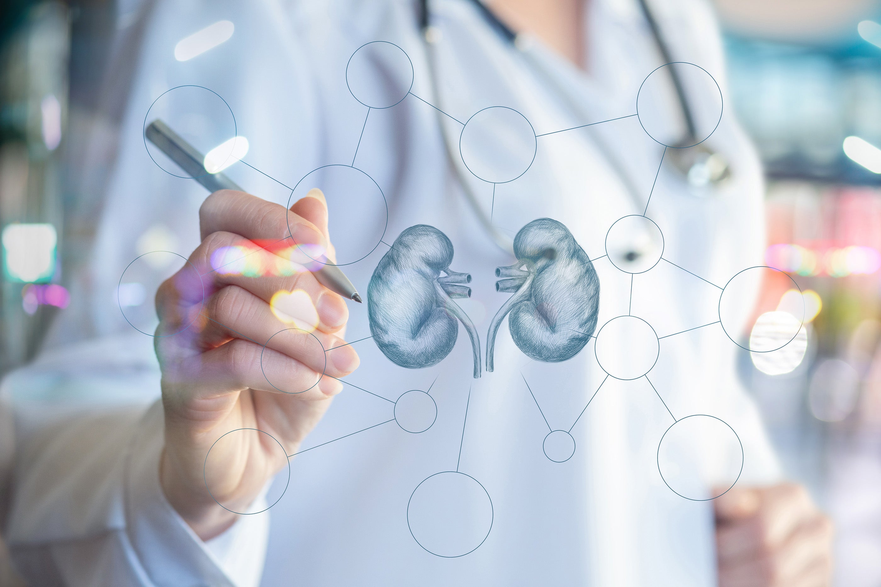 Anasonic-Revolutionizing Kidney Care with LIPUS – AnaSonic