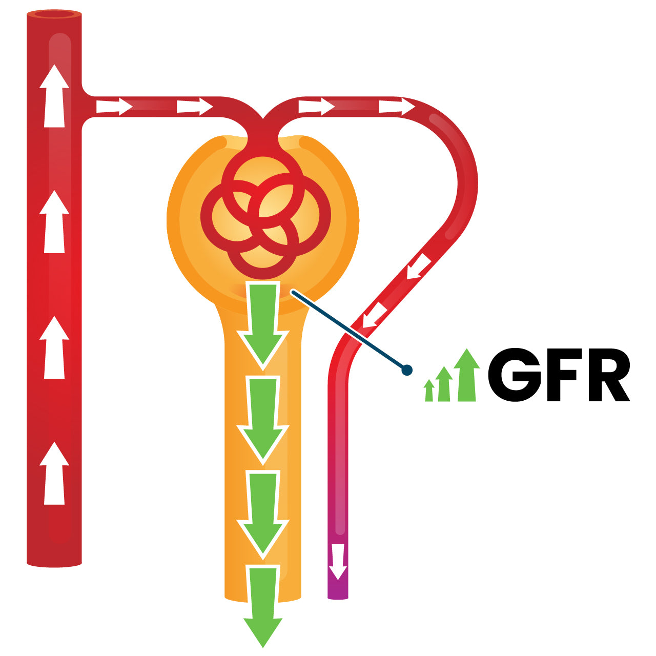 Solution – AnaSonic